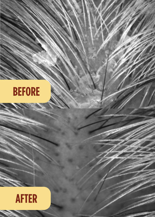 Lemon Hair Oil | Hair Syrup