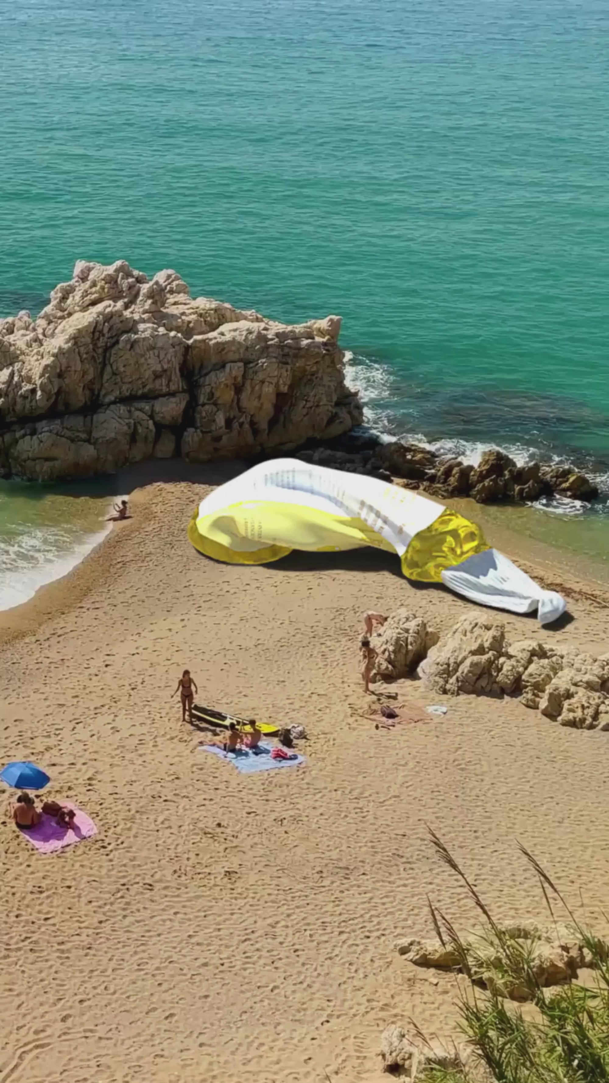 Lemon Hair Oil | Hair Syrup